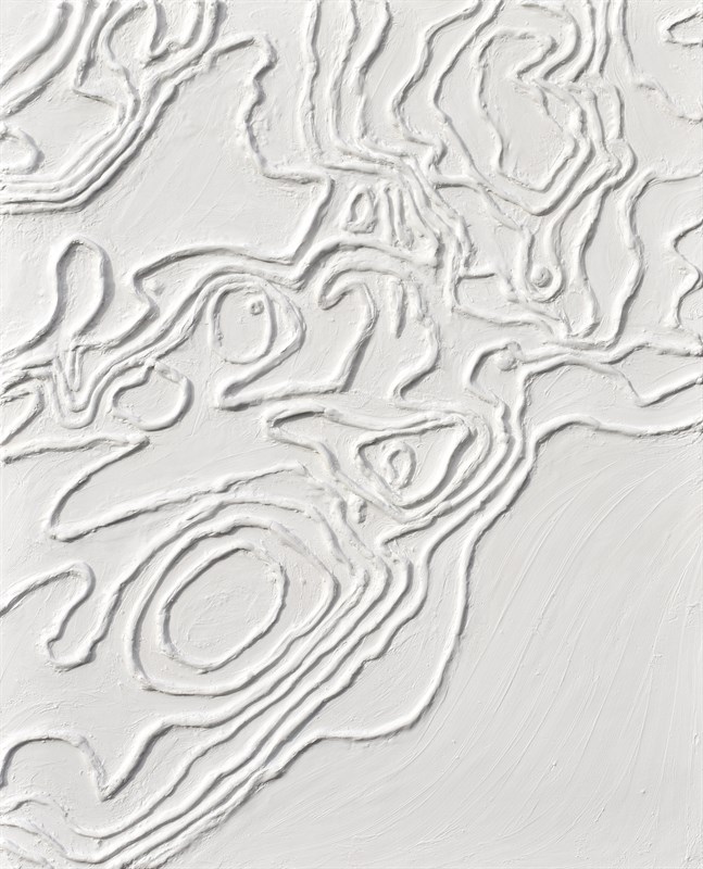 Contour Line Art - 3d Sculpture On Canvas by Art by Pagliari - Small Market