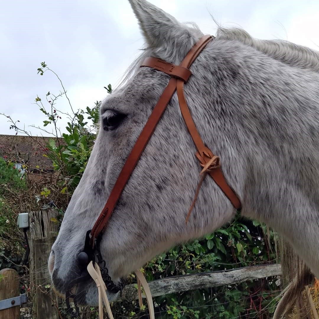 Simple Bridle by Sully Leather - Small Market